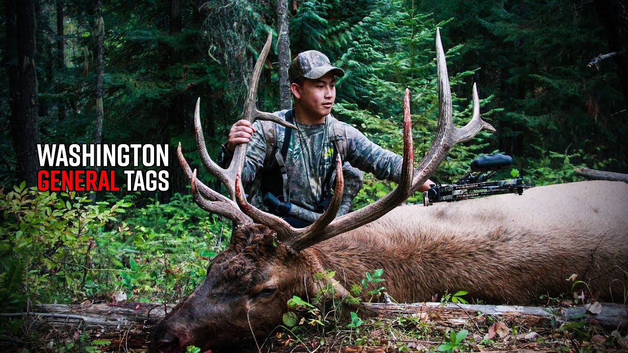 How much is a Washington state hunting license? - In Your Travel