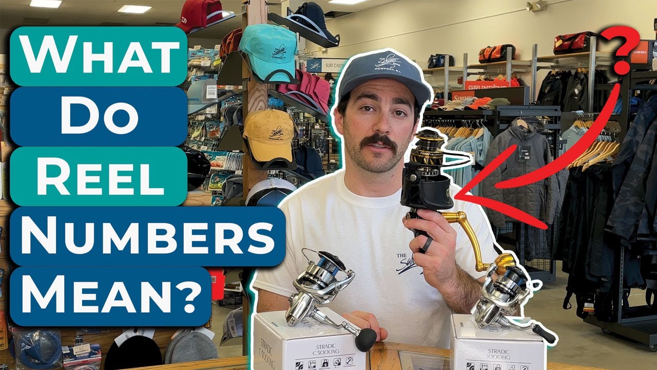 What does spinning mean in fishing? - In Your Travel
